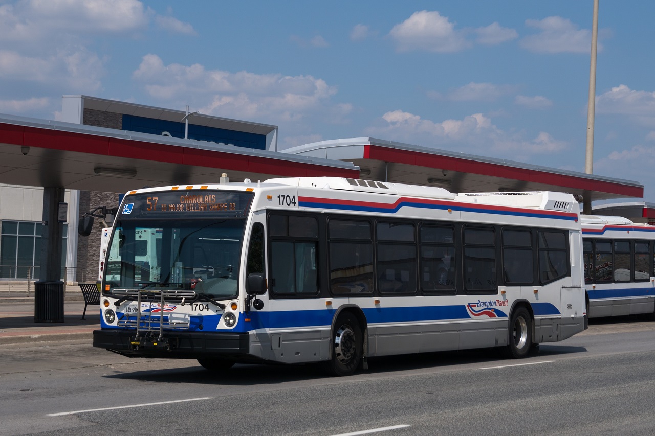 Buses | Transit55 Brampton