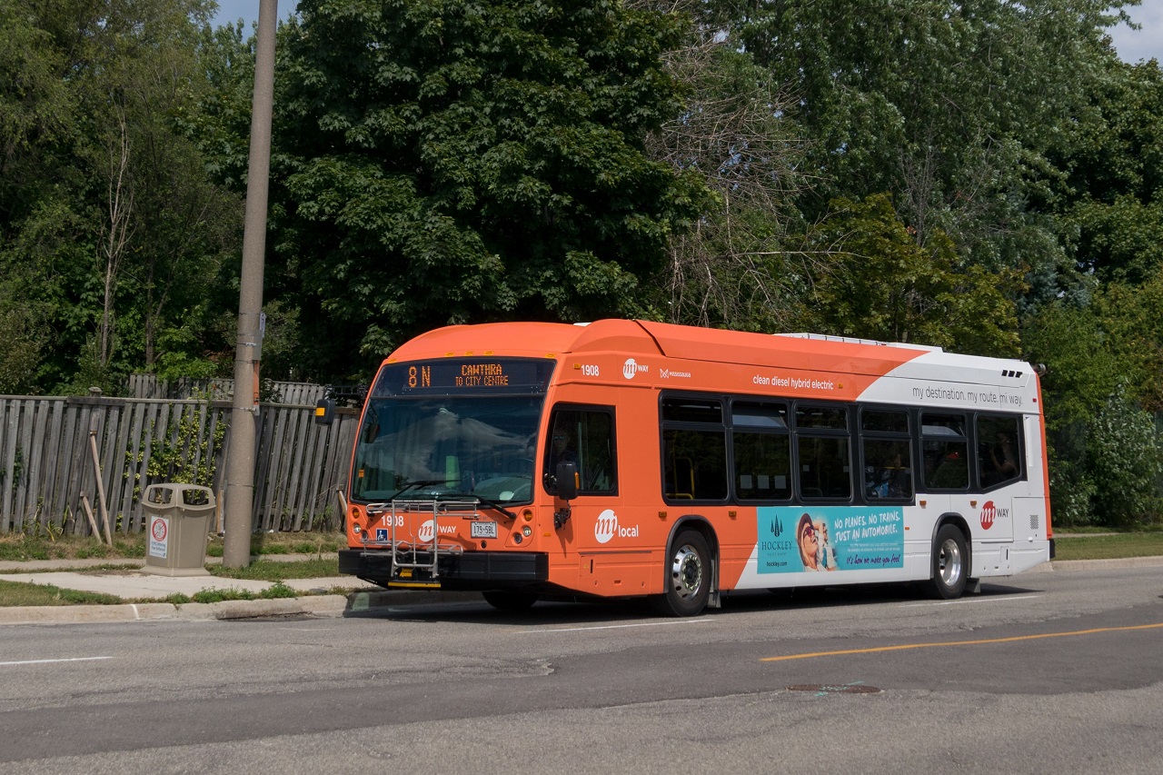 Buses | Transit55 Mississauga
